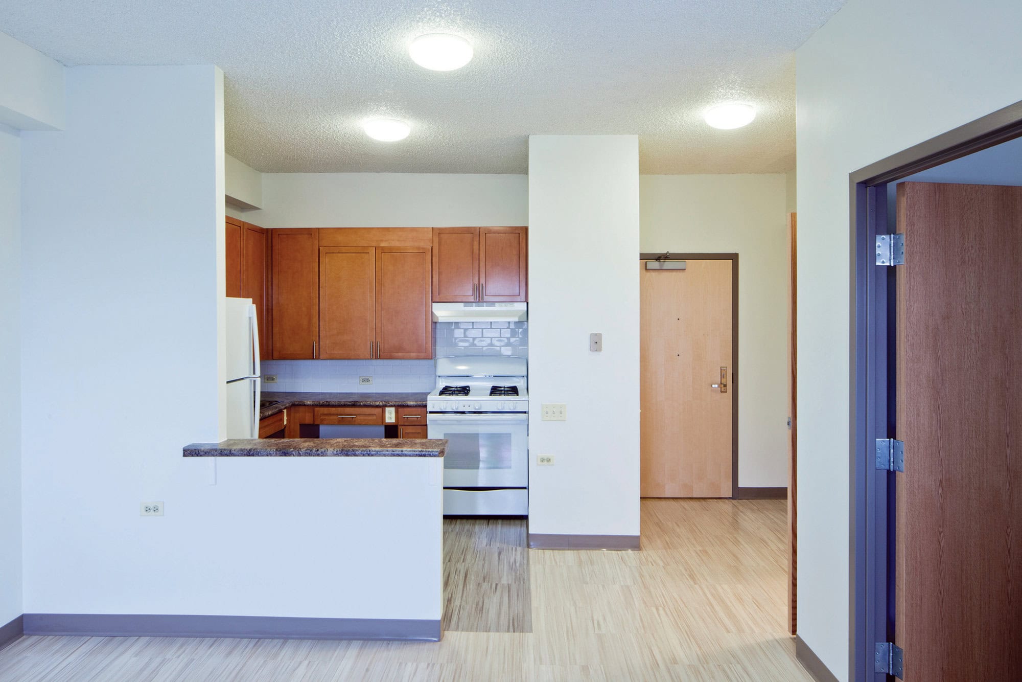 Chicago Housing Authority - Projects- Novak Construction Company